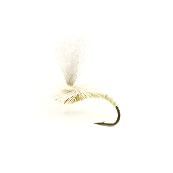 GT Adult PMD - Iron Bow Fly Shop