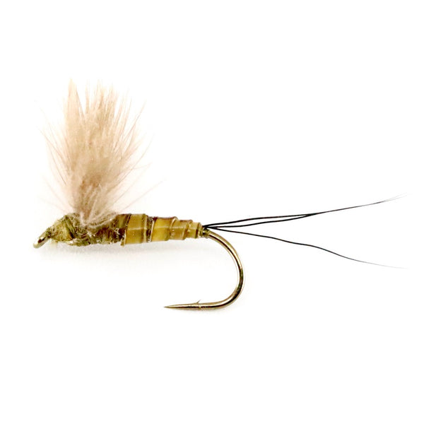CDC Comparadun Green Drake - Iron Bow Fly Shop