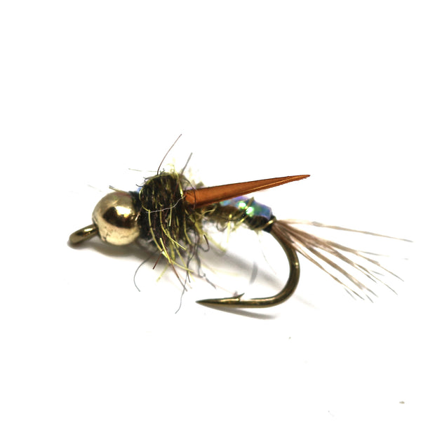 TB Evil Weevil Nymph - Iron Bow Fly Shop